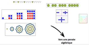 La ressource de la période : les motifs organisés – M@ths